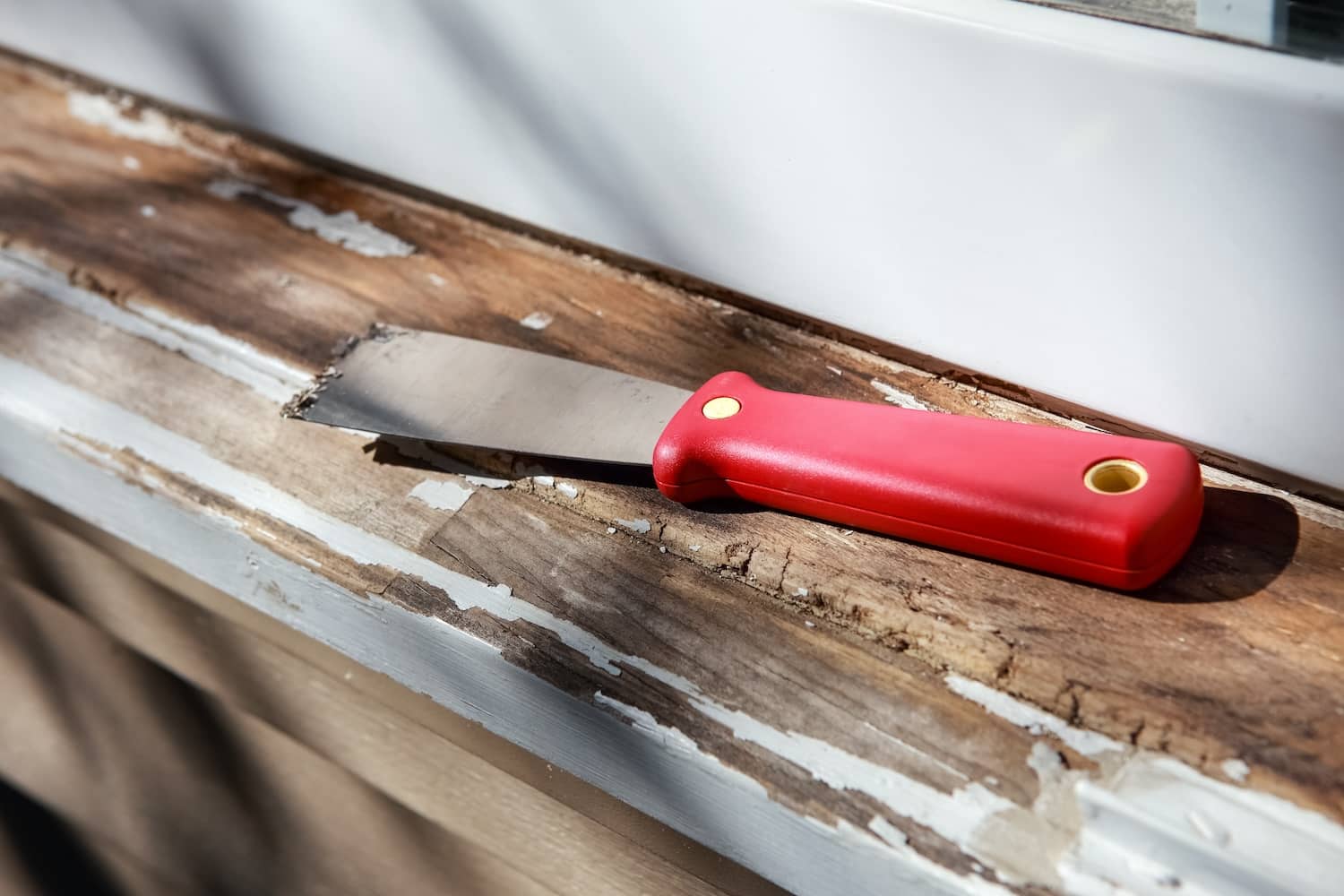 Easy Steps to Fix Chipped Paint on Your Wall - Alpha Building Inspections